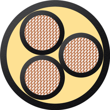 BizLink Healthcare | X-ray