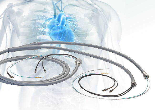 BizLink Healthcare | Healthcare